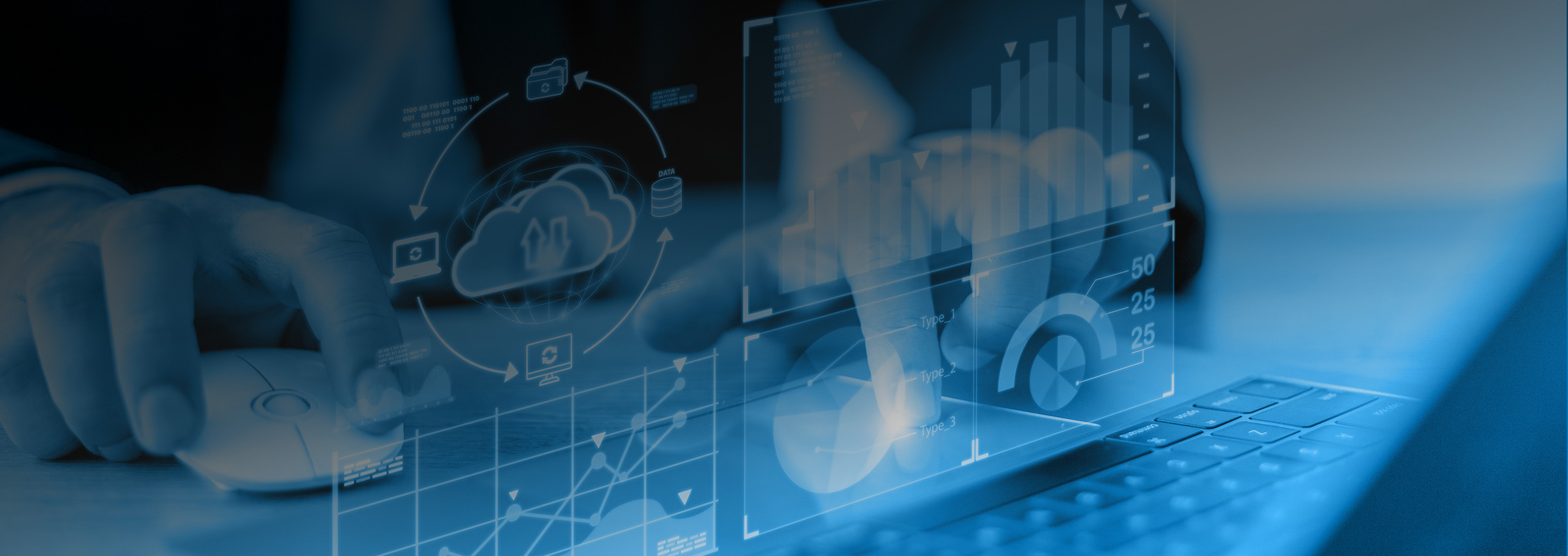 BI Solutions | Gemini Consulting & Services